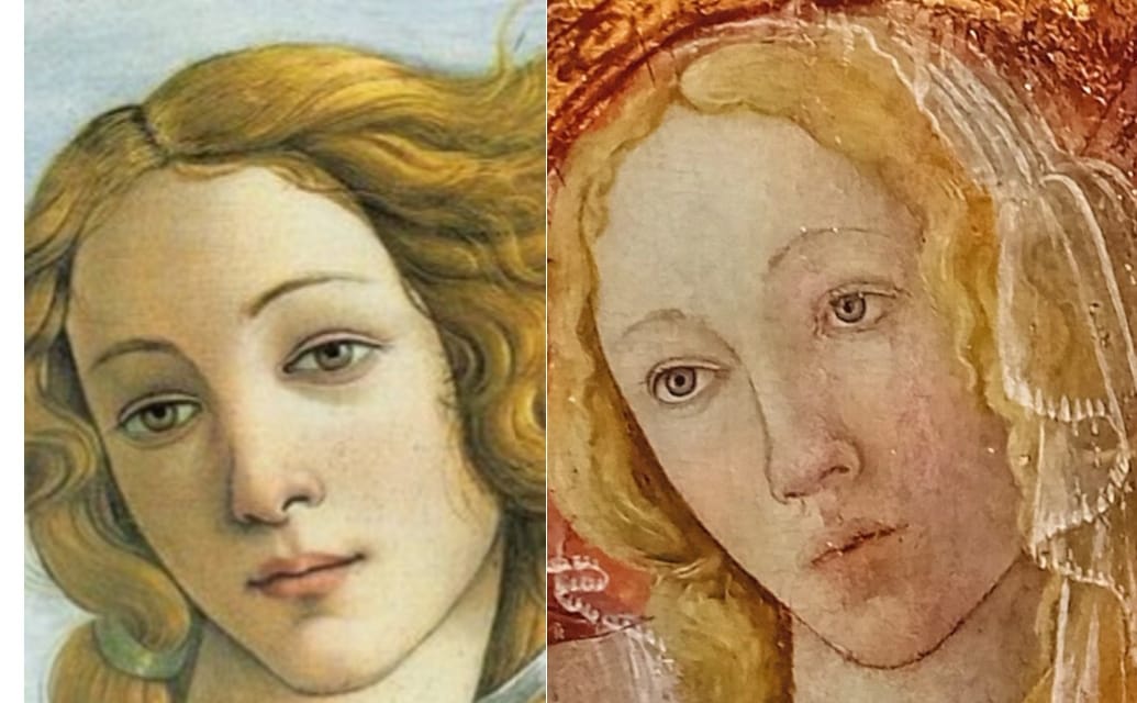 Arte. È Simonetta Vespucci a restituire identità alla pala di San Leo.